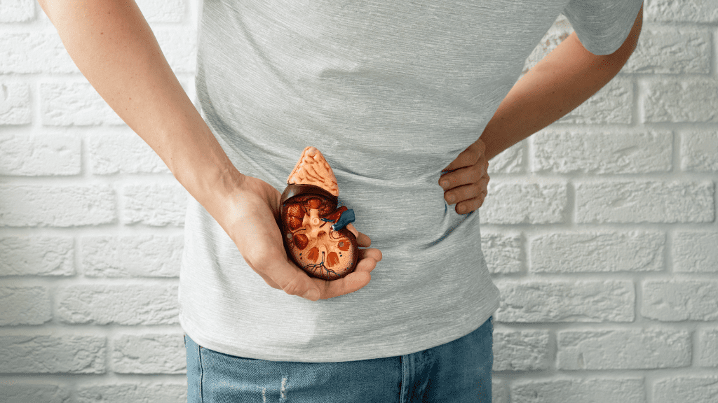 Kidney Health: Screening and Early Detection for Better Well-Being ...